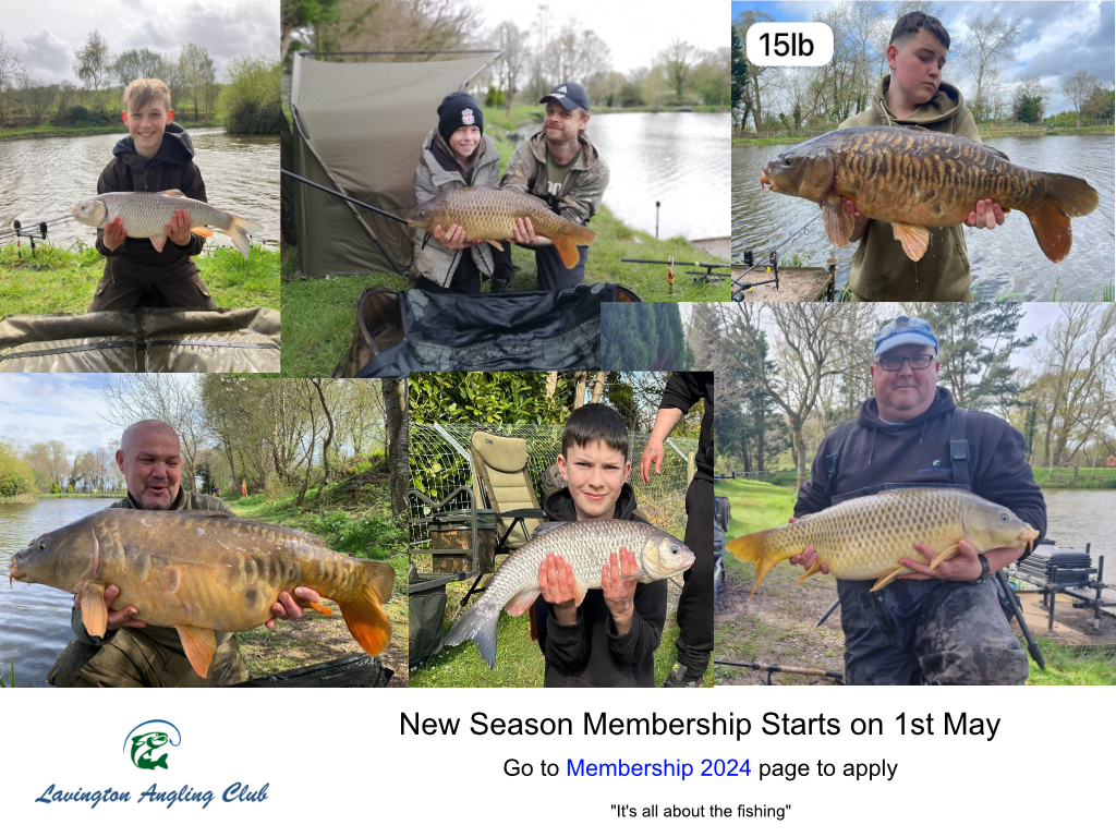 Lavington Angling Club – Great angling in the heart of Wiltshire