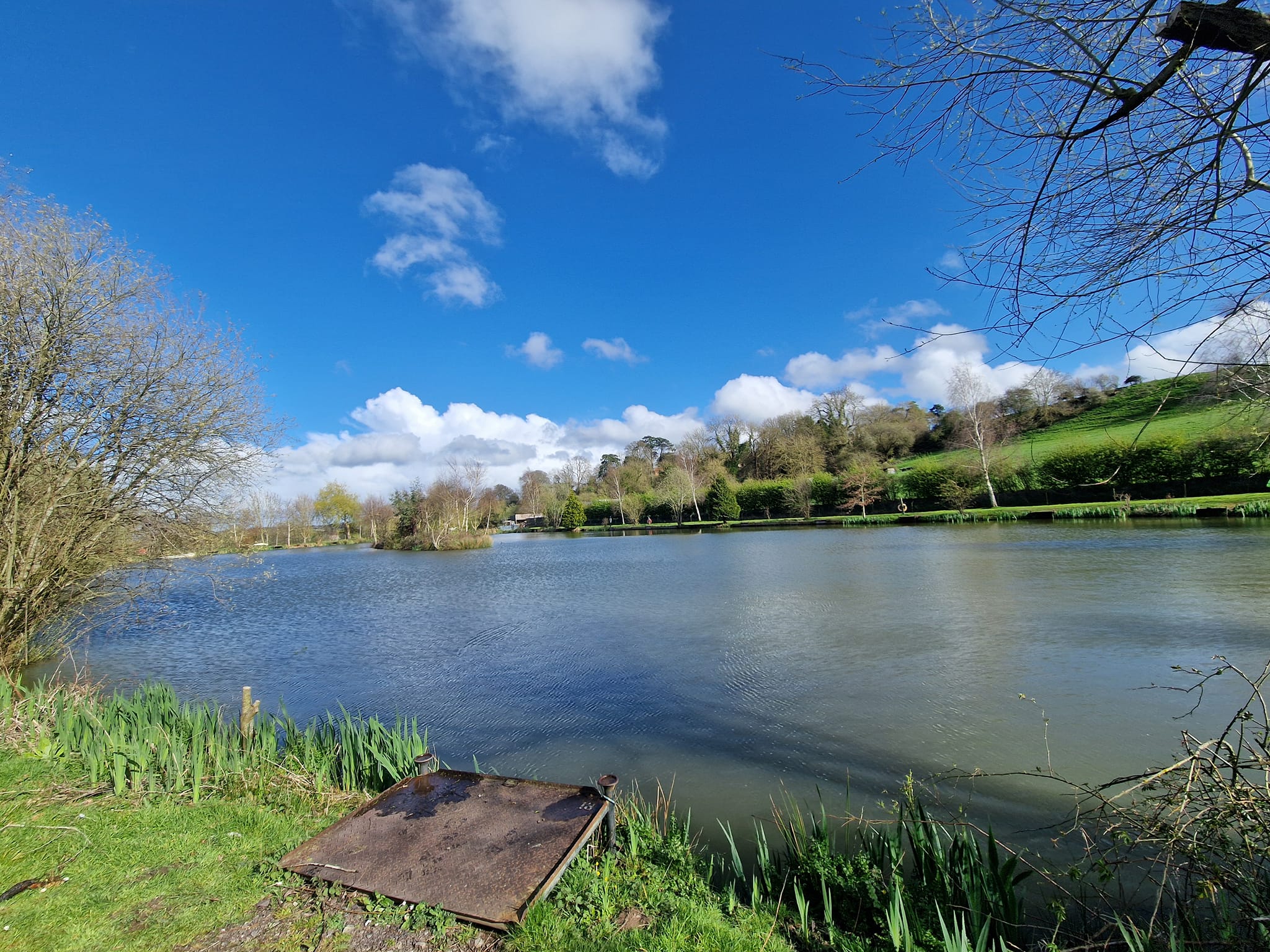 Lavington Angling Club – Great angling in the heart of Wiltshire